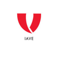 Participamos en la serie de webinars ‘Voluntariado para el cambio social’ de la IAVE