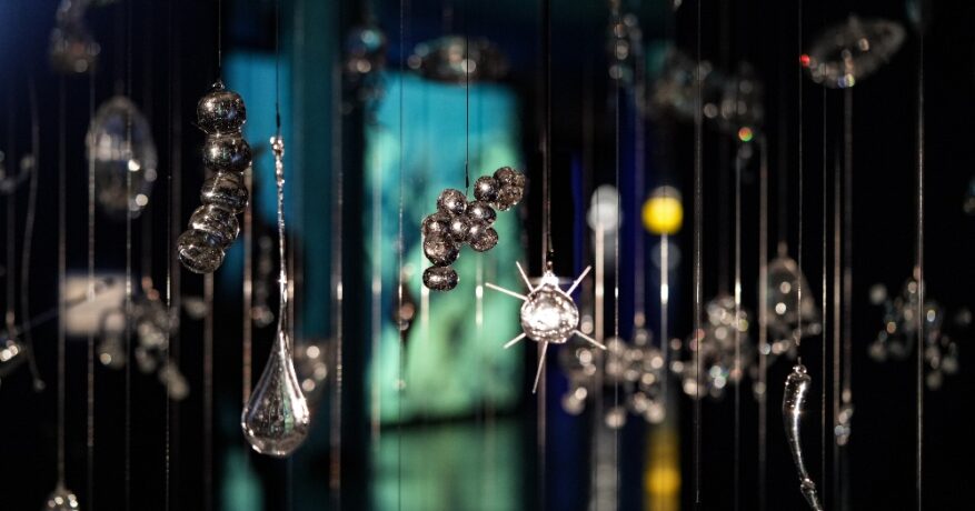 Ecos del océano | Fundación Telefónica España